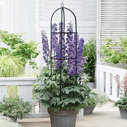 Black Trellis Coated Metal Garden Rose Decor Trellis,Flower Climbing Frame, for Climbing Plants, Roses and Flowers(18.5 * 2.9M)