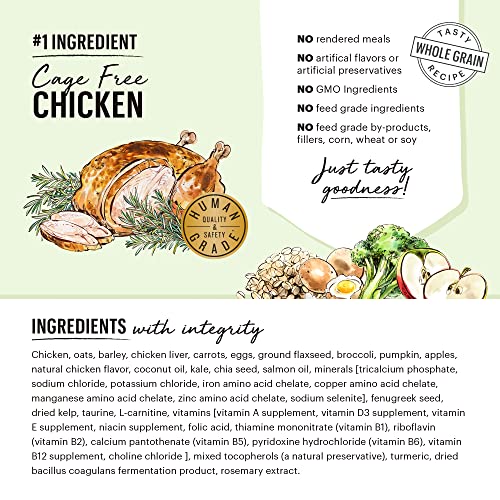 The Honest Kitchen Whole Food Clusters Whole Grain Chicken & Oat Dry Dog Food, 1 lb Bag