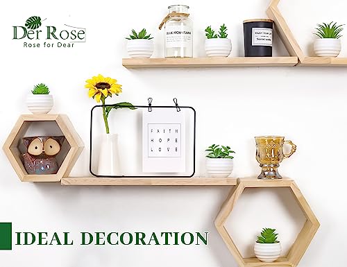 Der Rose Set of 6 Succulents Plants Artificial in Pots Small Fake Plants for Bedroom Aesthetic Living Room Office Shelf Bathroom Decor
