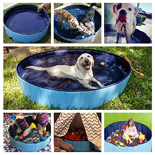 Jasonwell Foldable Dog Pet Bath Pool Collapsible Dog Pet Pool Bathing Tub Kiddie Pool for Dogs Cats and Kids (32inch.D x 8inch.H, Blue)