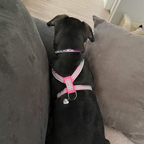 EXPAWLORER Dog Harness Genuine Leather Soft Padded Pet Sparkly Rhinestone Vest with Heart Pendant for Puppy Cat, Pink (S, Pink)