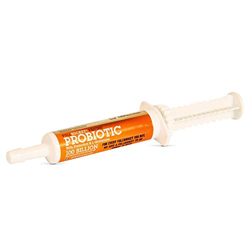 FullBucket Equine Probiotic Paste with Saccharomyces Cerevisiae Boulardii for Daily Digestive Optimization; Concentrated Formula with 100 Billion CFUs, 1 Tube