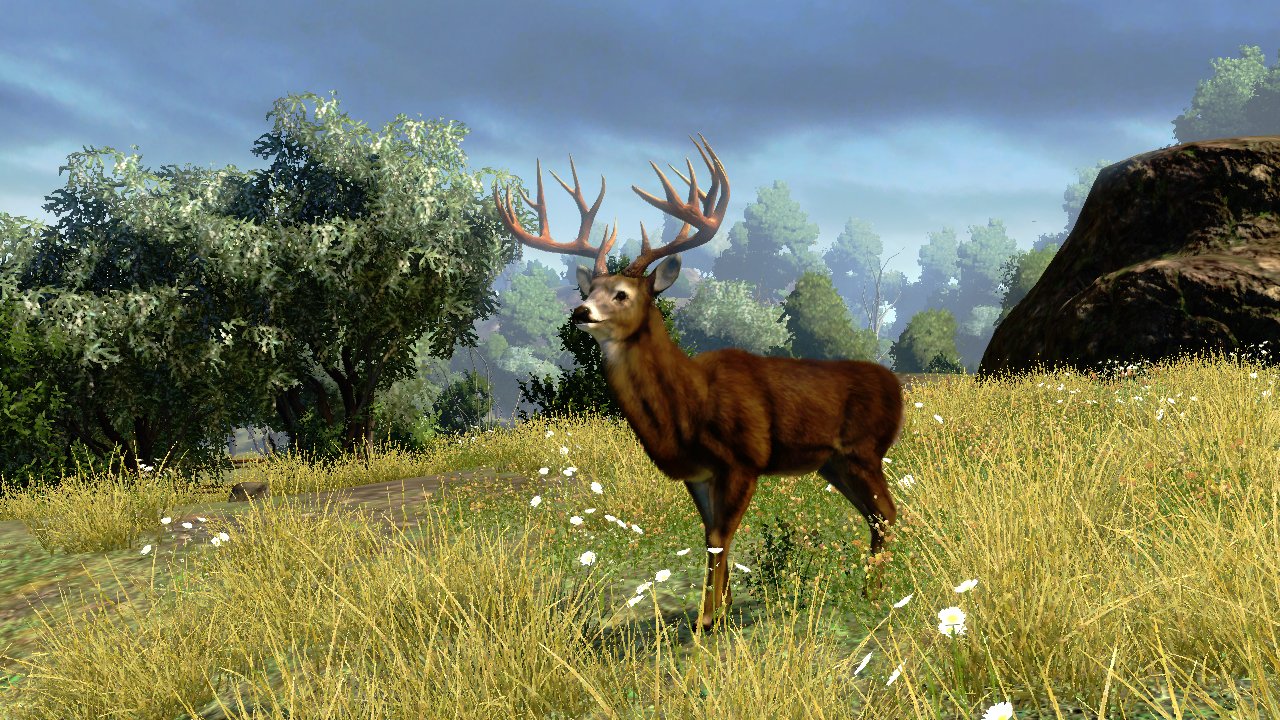 Cabela's Outdoor Adventure '10 - Playstation 3