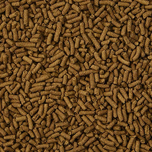 Kaytee Ferret Diet -- Turkey 4 lb