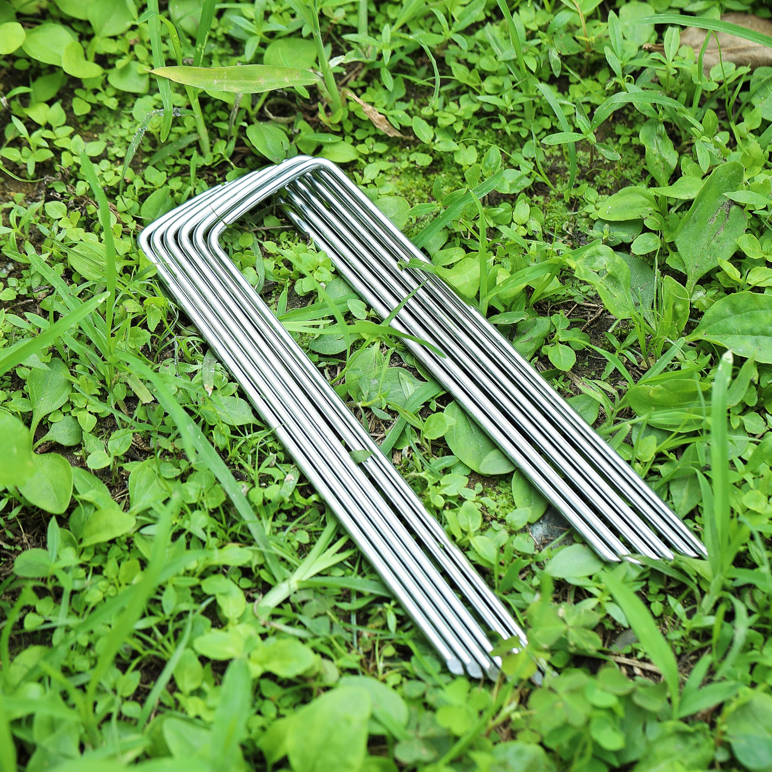 6 Inch Landscape Staples, Galvanized Garden Stakes, U-Shaped Weed Barrier Stakes, Garden Staples for Weed Barrier Stakes, Landscape Fabric Stakes, Soaker Hose Stakes (20 Pack)