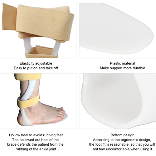 Ankle Foot Orthosis Support Drop Foot Splint Half Palm Design Lightweight Ergonomic Hollow Heel Adaptive for Injury Recovery