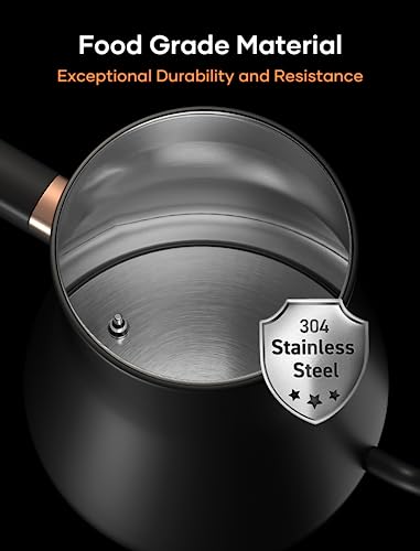 INTASTING Electric Kettle, Electric Tea Kettle with LCD Display, ±1℉ Temperature Control Gooseneck Electric Kettle, Auto Shut-Off/Keep Warm/Brew Timer, Quick Heating Hot Water Kettle Electric, 0.9L