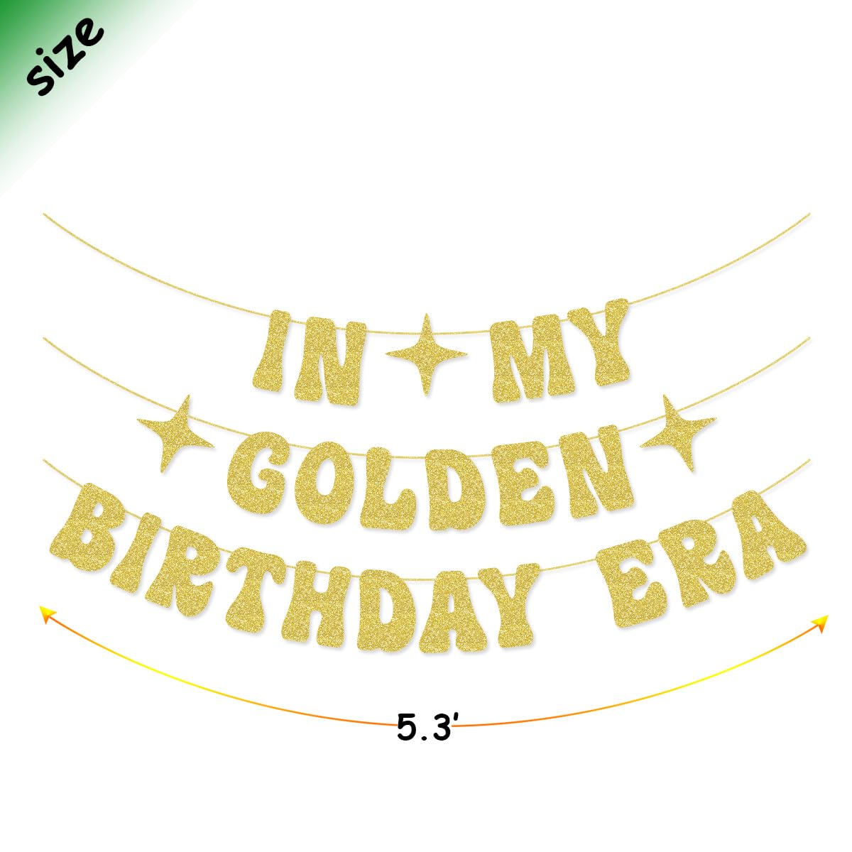 In My Golden Birthday Era Banner for Golden Birthday Party Singer Birthday Party Decorations