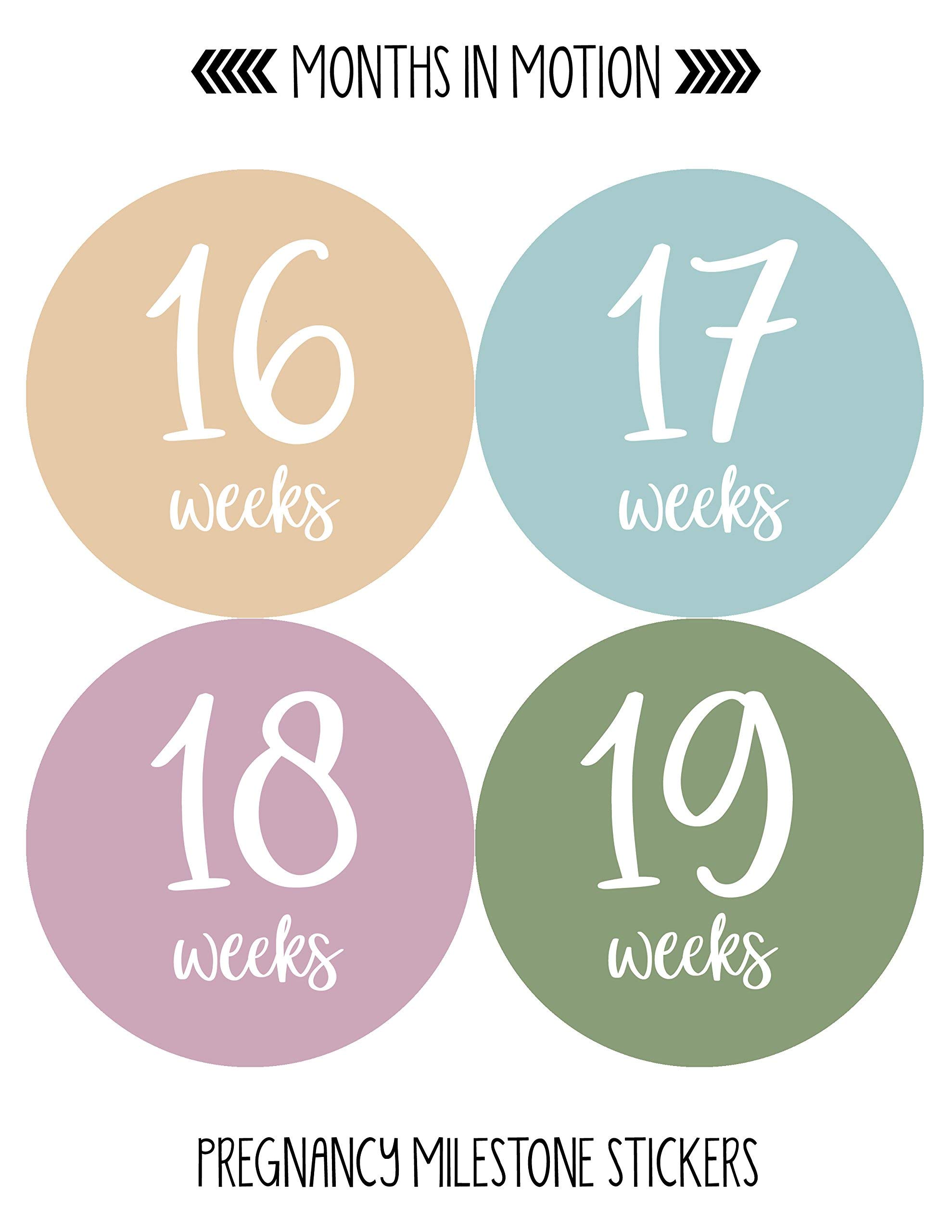Months In Motion Pregnancy Weekly Belly Growth Stickers, 36 pcs - Purple Pink, Matte Finish, Cloth Surface, for Maternity Photo Sessions & Keepsakes