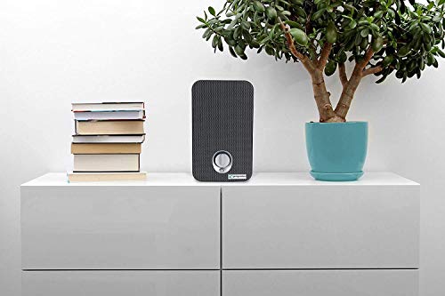 Germ Guardian HEPA Filter Air Purifier with Guardian Technologies GermGuardian Air Purifier Filter FLT4100 Genuine HEPA Replacement Filter