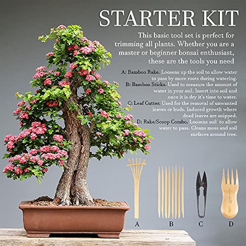 BambooMN Bonsai Tree Pruning Trimming Starter Tool Kit - Leaf Trimmers, and Bamboo Rake - 1 Set