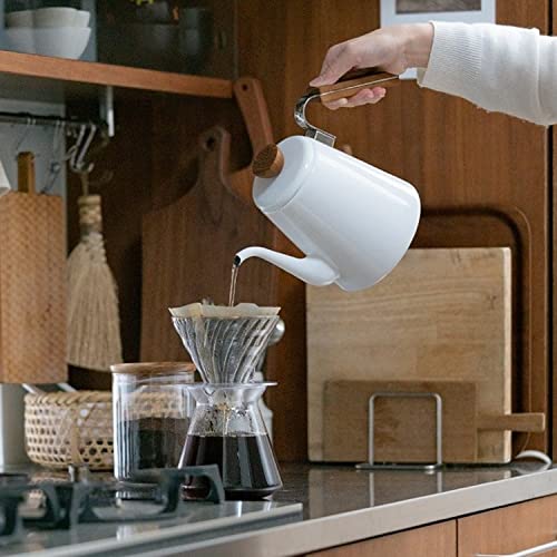 Hario "Simply Glass V60 Pour Over Set with Glass Server, Scoop and Filters, Size 02, Clear