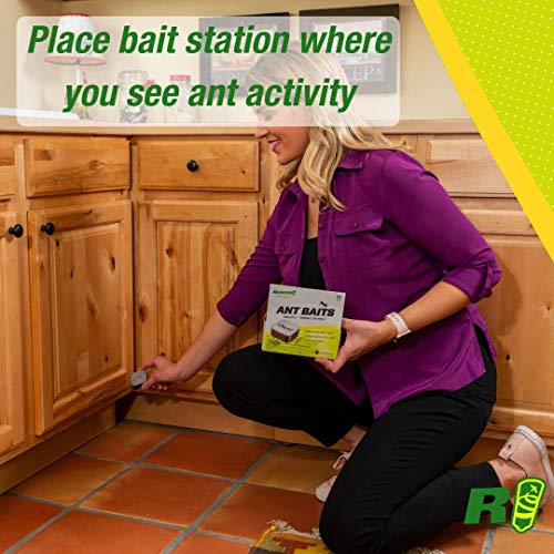 RESCUE! Ant Baits β Indoor Ant Killer, Ant Trap Alternative - 6 Bait Stations