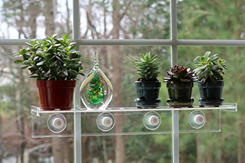 LaBrinx Designs Extra Large Suction Cup Shelf - Live Plants, Windows, and Bathrooms