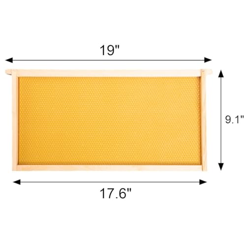 BeeCastle 10 Pack Beehive Frames and Wax Foundations for Deep Brood Bee Hives with Wooden Bee Hive Frames and 100% Beeswax Coated Foundations, 9-1/8-Inch (Yellow)
