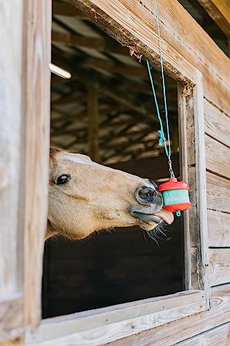 Horsemen's Pride Stall Snack Treat Holder & Refill for Horses; Apple Flavor