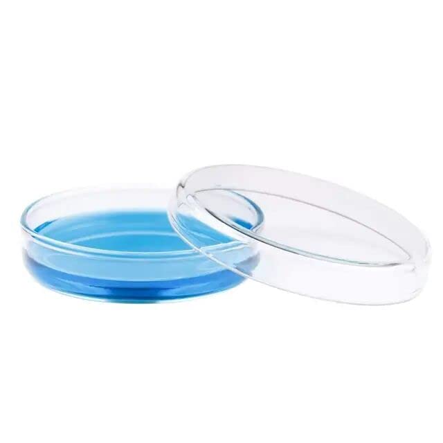 BIPEE Polystyrene Petri Dish 60 x 15mm, Sterile, Pack of 10,Plastic Petri Dishes with Lids , Mold Testing kit,Mycology Supplies agar Plates- Perfect for Cell Culture and Microbiology Experiments