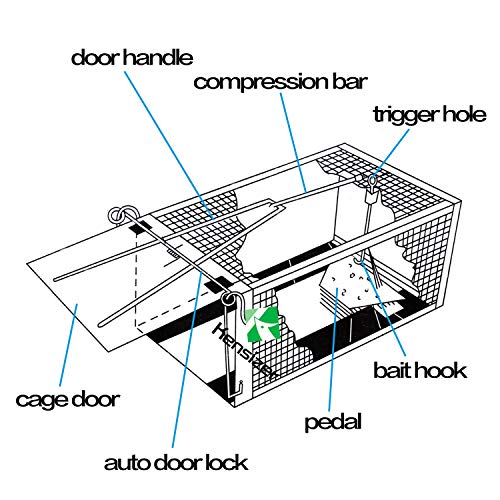 Kensizer Humane Rat Trap, Chipmunk Rodent Trap That Work for Indoor and Outdoor Small Animal - Mouse Voles Hamsters Live Cage Catch and Release