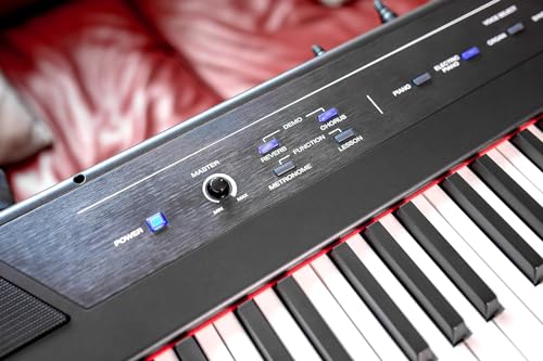 Alesis Recital – 88 Key Digital Piano Keyboard with Semi Weighted Keys, 2x20W Speakers, 5 Voices, Split, Layer and Lesson Mode, FX and Piano Lessons