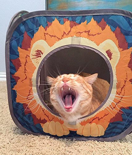 Kitty City Pop Open Jungle Combo,Collapsible Cat Cube, Play Kennel, Cat Bed, Tunnel, Cat toys