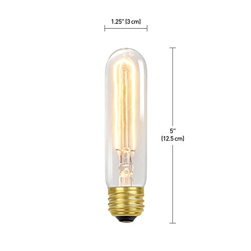 Globe Electric 01322 60W Vintage Edison T10 Radio Tube Incandescent Filament Light Bulb, E26 Base, 245 Lumens