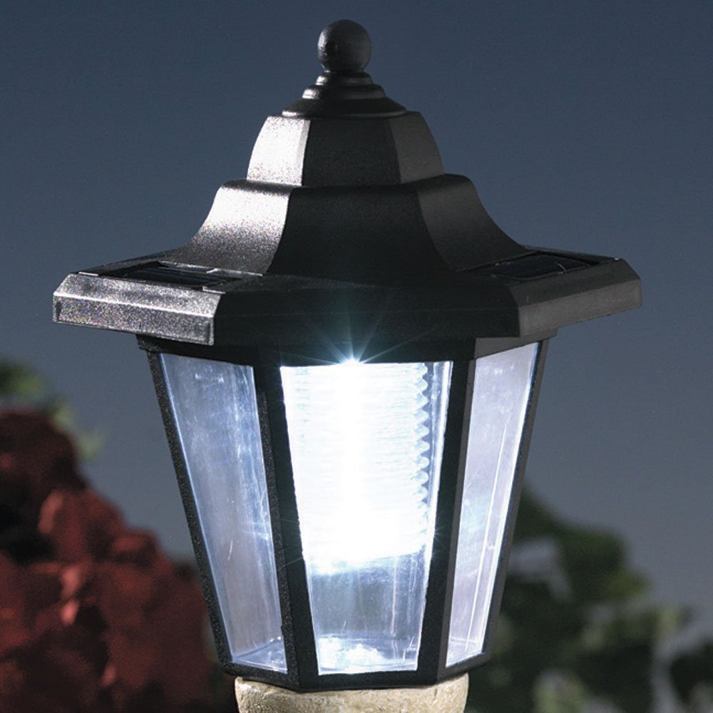 Bits and Pieces-Solar Light Fawn Pug-Solar Powered Garden Lantern - Resin Dog Sculpture with LED Light