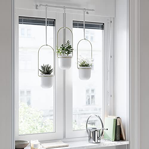 Umbra 1011748-524 Triflora Hanging Planters for Indoor Plants or Herbs, White/Brass,42" Width