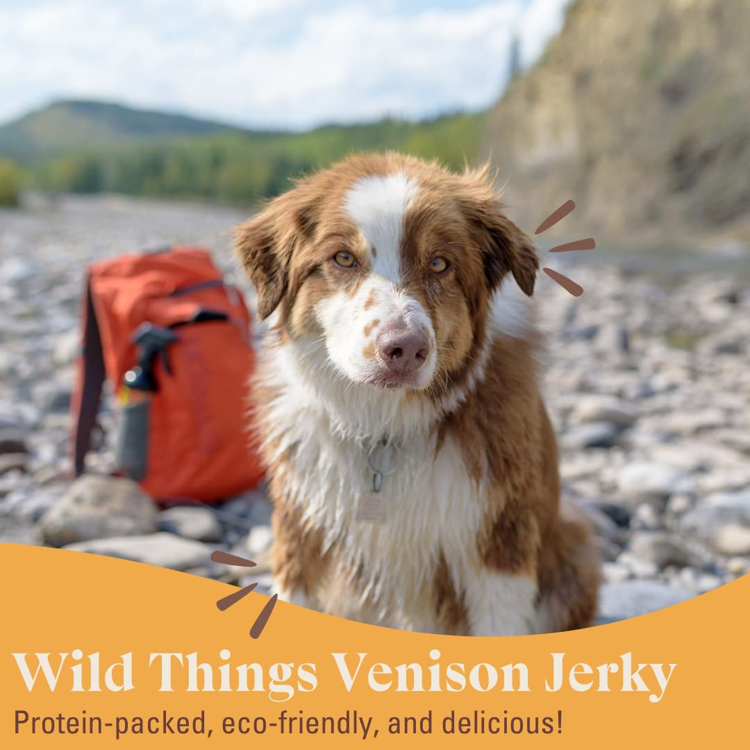 OTIS Venison Jerky for Dogs | Protein Packed, Pasture-Raised, Grass-Fed Venison Jerky Dog Treats Healthy Dog Treats - Wild Things | 4 Ounce Bag