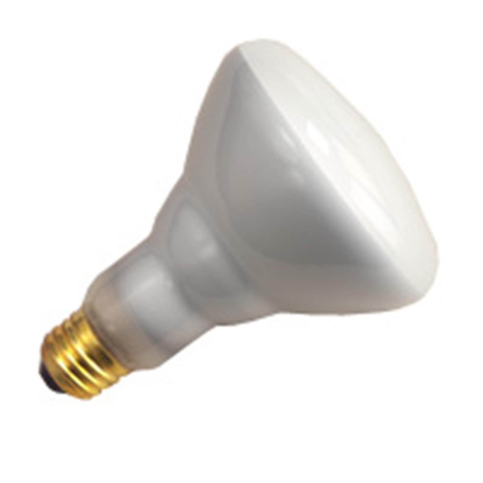 6 Qty. Halco 65W BR30 FL 130V Med 580 LUMENS 5000HR C-9 5.37MOL BR30FL65 65w 130v Incandescent Flood Lamp Bulb
