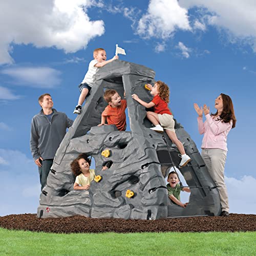Step2 Skyward Summit Climber β Authentic Kids Playset Rock Climbing Wall with Four Unique Climbing Walls, Two Cargo Nets, Floor Net, and Flag β Rock Climbing Jungle Gym for Backyard