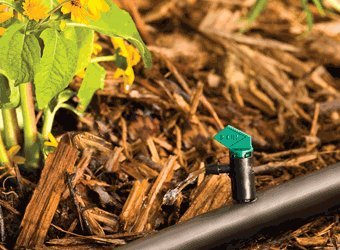 Gardener's Poly Tubing (1/2"-inch) .600 ID x .700 OD - Irrigation, Hydroponics, Growing - Water Distribution Tube (100 Foot Roll)