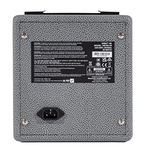 Blackstar Debut 10E Beginners Practice Electric Guitar Amplifier Combo with Delay Effect 10 Watt Headphone Input/Line in MP3 Playback (Bronco Grey)
