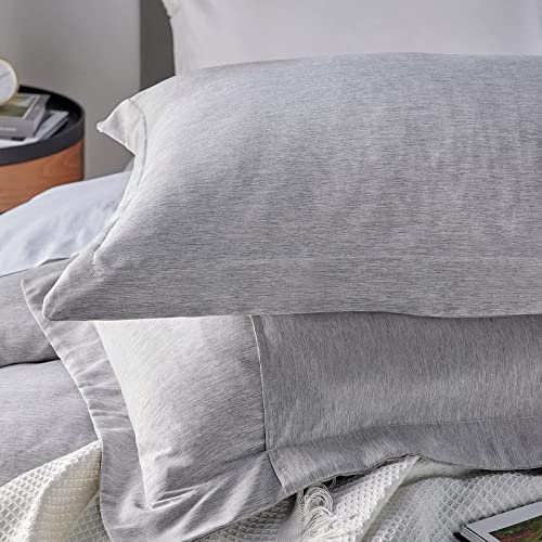 CozyLux Queen Size Comforter Set - 3 Pieces Grey Soft Luxury Cationic Dyeing Bedding Comforter for All Season, Gray Breathable Lightweight Fluffy Bed Set with 1 Comforter and 2 Pillow Shams