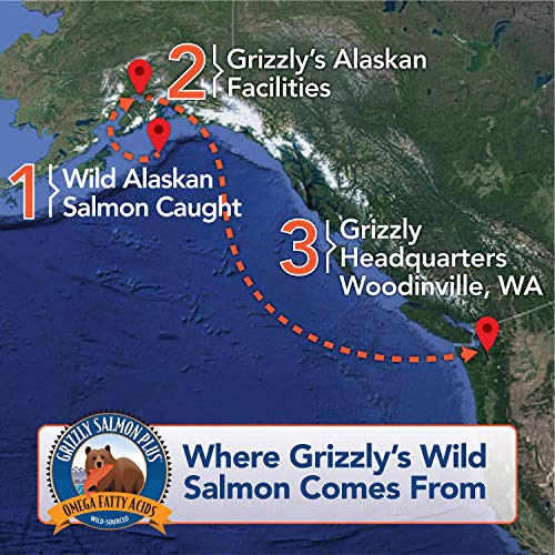 Grizzly Wild Alaskan Salmon Oil Dog Food Supplement Omega 3 Fatty Acids, 16 oz
