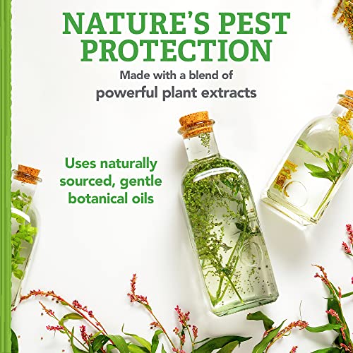 Natural Care Flea and Tick Spray for Dogs and Cats | Flea Treatment for Dogs and Cats | Flea Killer with Certified Natural Oils | 14 Ounces
