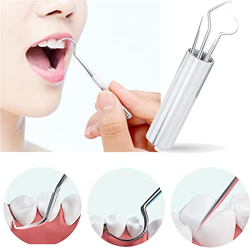 bonmall Dental Teeth Pick Stainless Steel Toothpick Set Reusable Tooth Stains Remover Dental Tool Teeth Cleaning Tools with Holder for Outdoor Picnic, Camping, Travel (7PCS/Set)