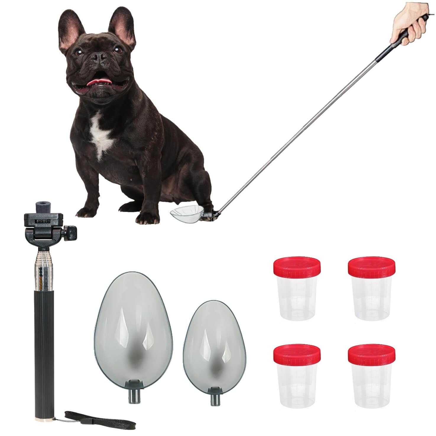 iNenya Dog Urine Sample Catcher,Telescopic Dog Pee Sample Collector,Pet Urine Stick for Small Large Female Dogs (Grayspoon&4bottles)