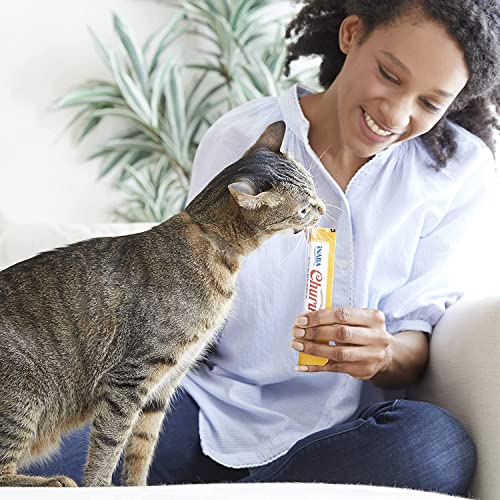 INABA Churu Lickable Creamy Purée Cat Treats 5 Flavor Variety Pack of 40 Tubes