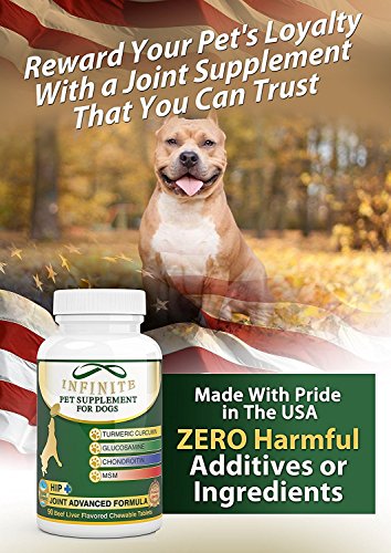 IPL Advanced Hip & Joint Formula - 90 Mobility & Pain Relief Dog Chews - Glucosamine, Chondroitin, MSM, & Turmeric for Superior Joint Health