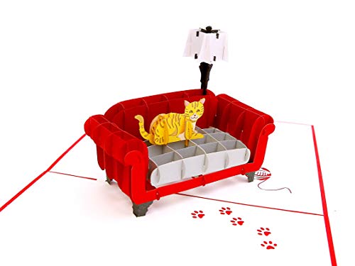 Liif Cat 3D Greeting Pop Up Card for All Occasions, Cat Birthday Card - Kitty, Cute, Fun, Thinking of You, Just Because, Thank You, Retirement, Cat Lover Gift (Cat On Couch)