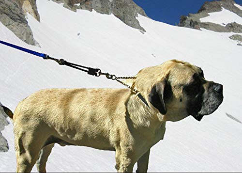 JERK-EASE BUNGEE DOG LEASH EXTENSION β Patented Shock Absorber Attachment Protects You and Your Dogs β Works with ANY Leash & Collar or Harness β a MUST for Retractable Leashes β PICK SIZE/COLOR BELOW