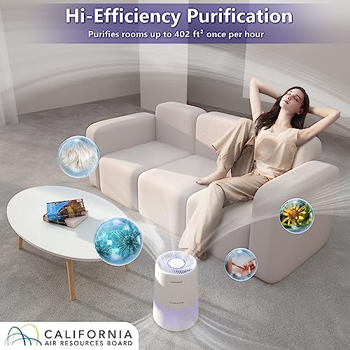 VENDFO Air Purifiers for Home Bedroom, H13 True HEPA Filter, Air Purifier for Large Room Remove 99.97% of Smoke, Pollen, Hair, Smell, Sleep Mode Speed Control, VF10- White