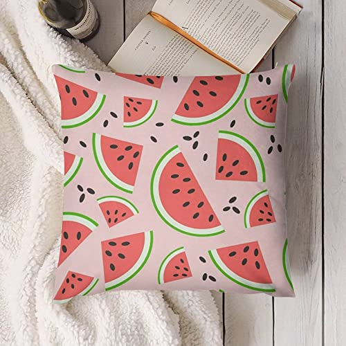 DMIPIRLS Outdoor Pillow Cases for Sofa Soft Set of 1 Pillowcases,Stylish Pink Watermelon White 26x26 Inches