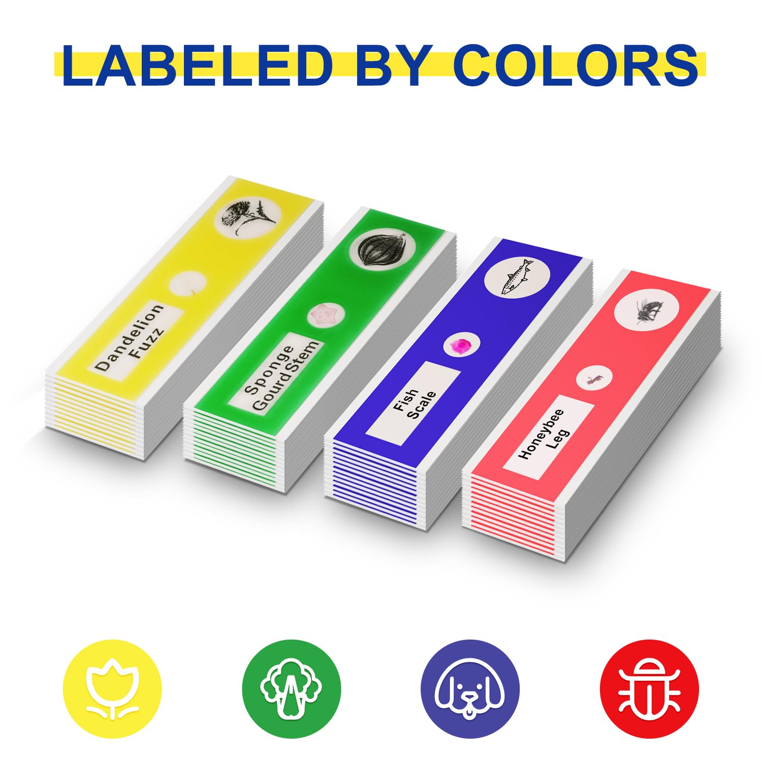 AOTRUTII Prepared Microscope Slides for Kids, 48Pcs Plastic Animals Plants Flowers Microscope Sample Slides, Ideal for Kids Students
