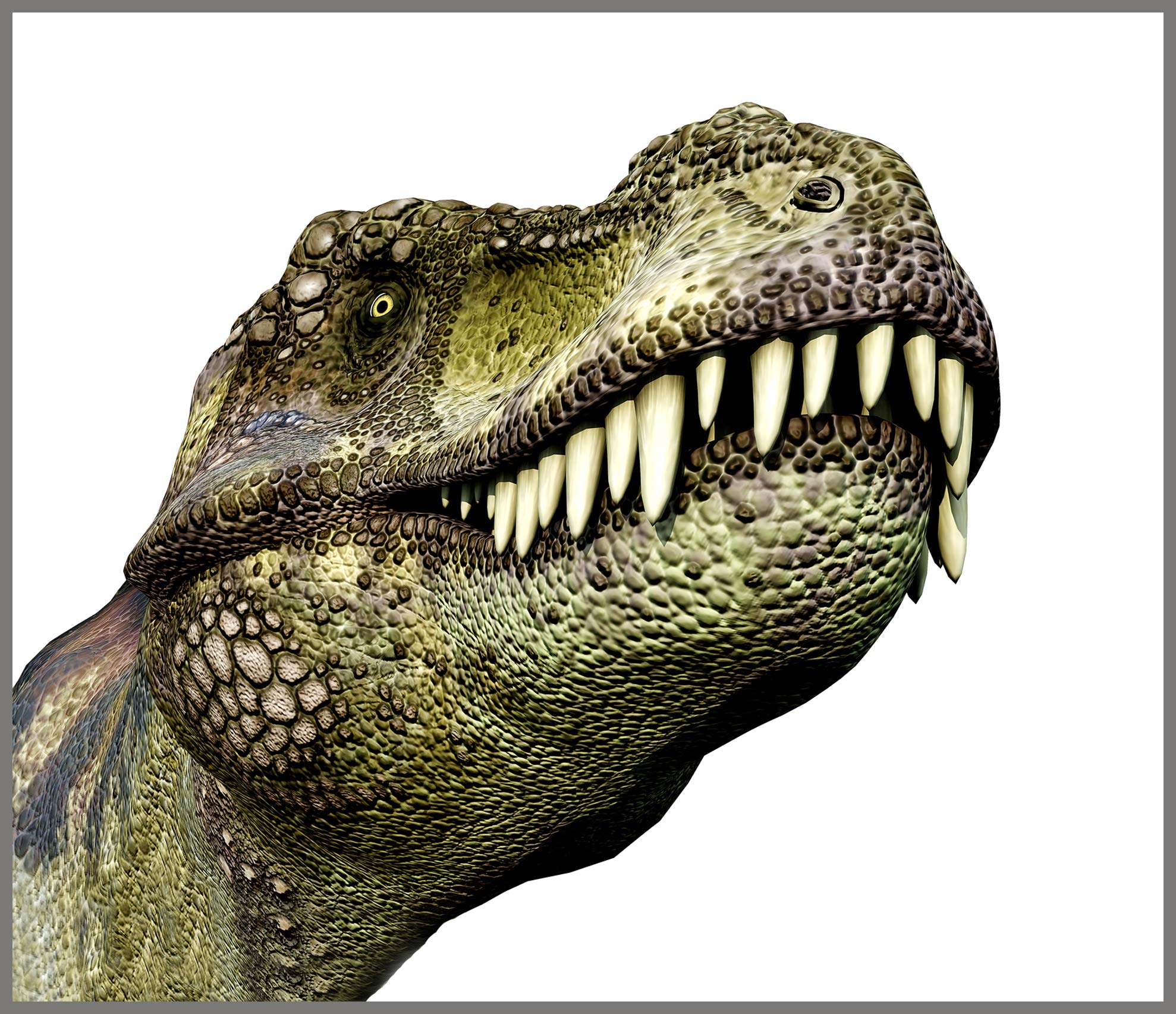 Brainstorm Toys Dinosaur Projector and Nightlight