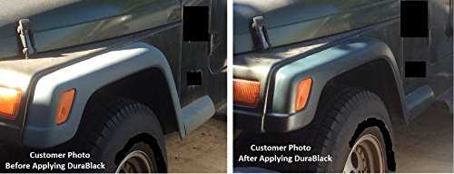 JJI Technologies DuraBlack Automotive Black Trim Rejuvenator - 12 Month No Color Fading - 8oz Bottle