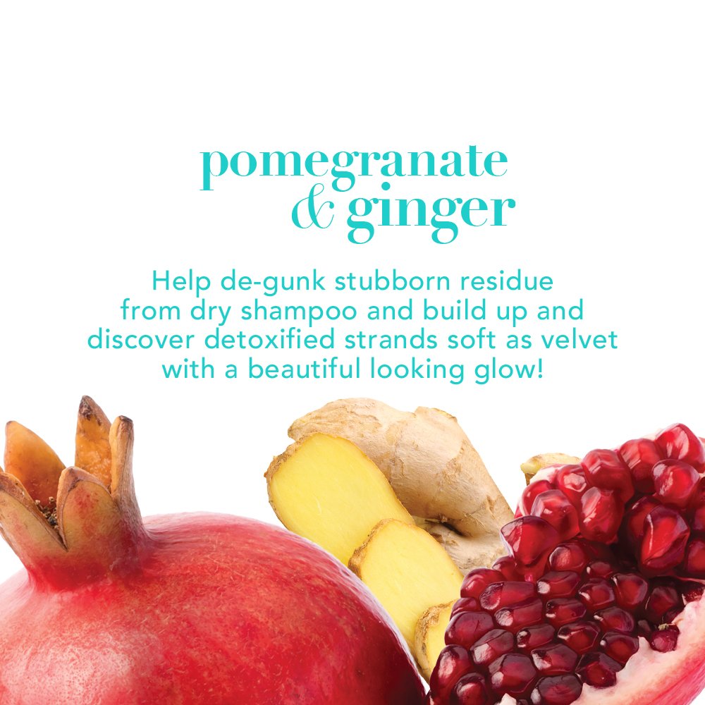 OGX Detoxifying + Pomegranate & Ginger Shampoo, 13 Ounce