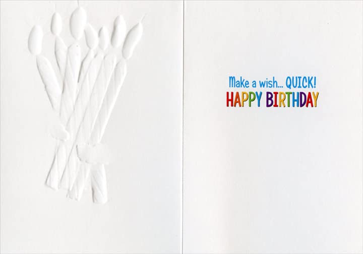 Avanti Press Chipmunk Carrying Lit Striped Candles Photograph Cute Funny/Humorous Birthday Card