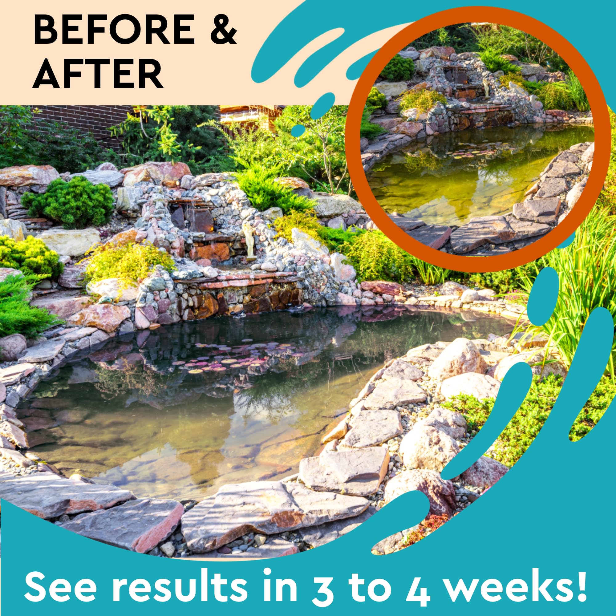 Algaecide for Fountains โ Clarify and Controls Algae for Large and Small Fountain (8 oz)