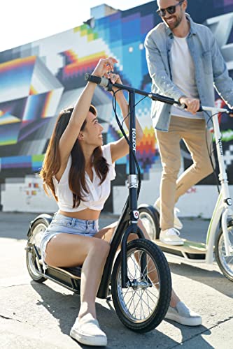 EcoSmart SUP Electric Scooter β 16" Air-Filled Tires, Wide Bamboo Deck, 350w High-Torque Hub-Driven Motor, Up to 15.5 mph & 15.5 Miles Range, Rear-Wheel Drive
